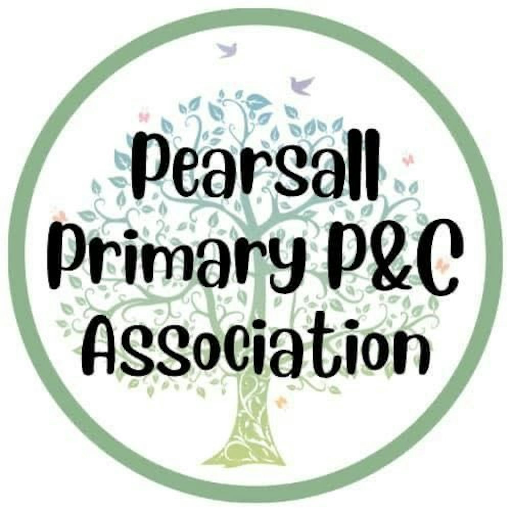 2024 Pearsall Primary P&C Colour Explosion!