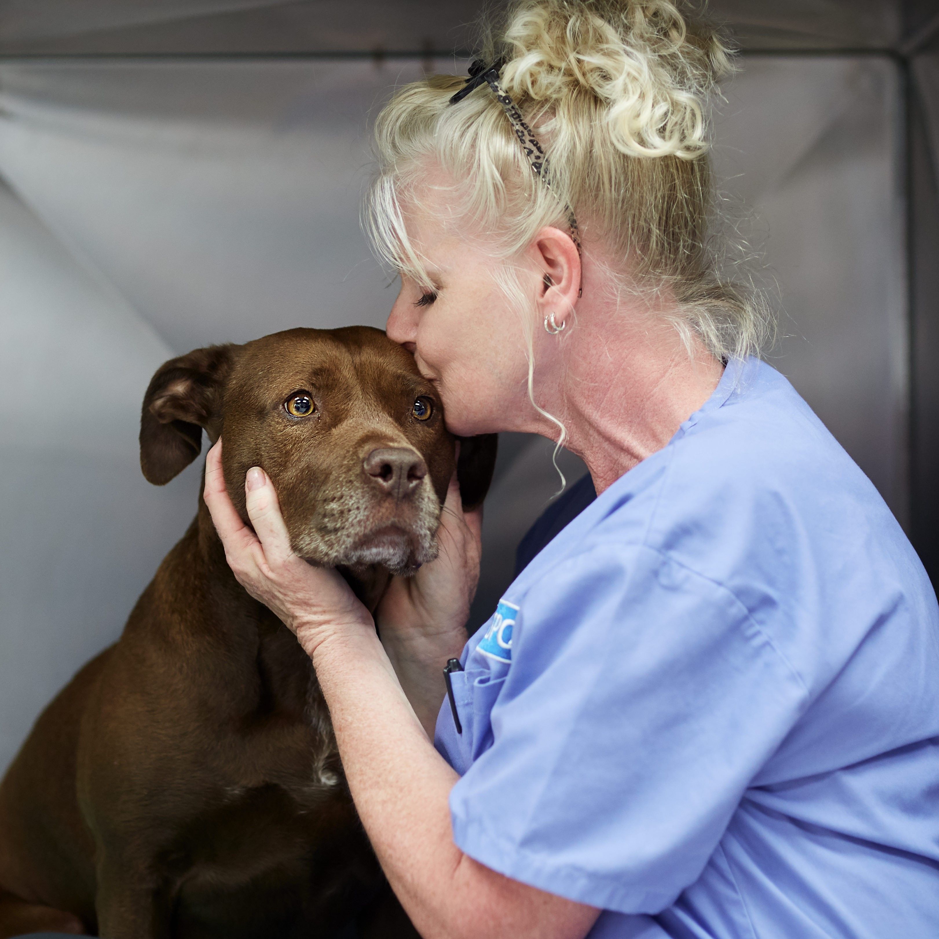 SPCA | Rescue Chained Dogs