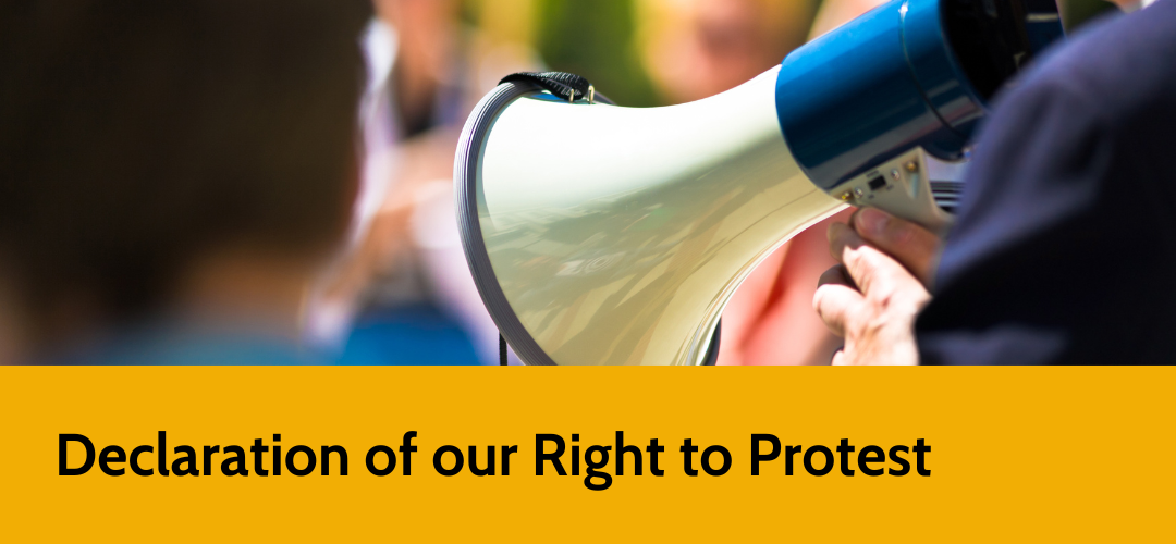 Protecting the Right to Protest