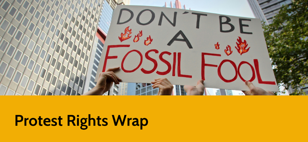 Protecting the Right to Protest