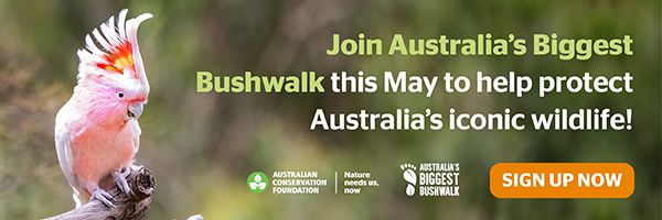 Resources • Australia's Biggest Bushwalk 2024