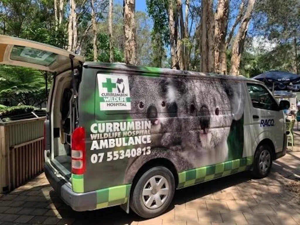 Currumbin Wildlife Hospital