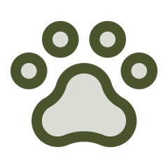 DERTOUR Foundation UK | Home