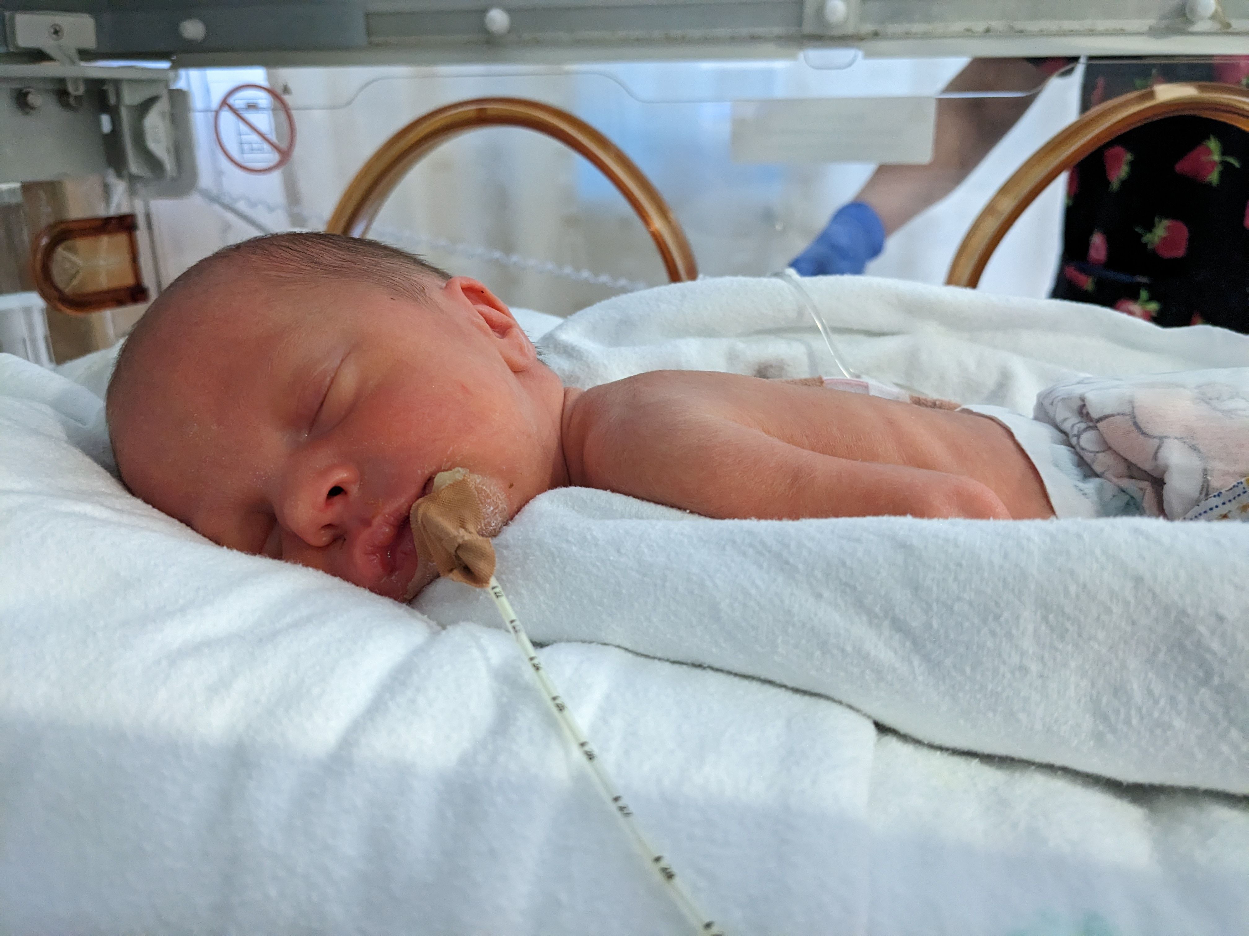 Eastern Health Foundation