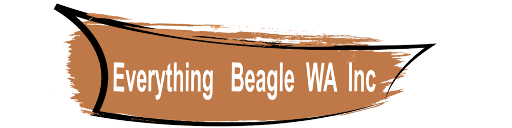 Blog - Everything Beagle Main Site