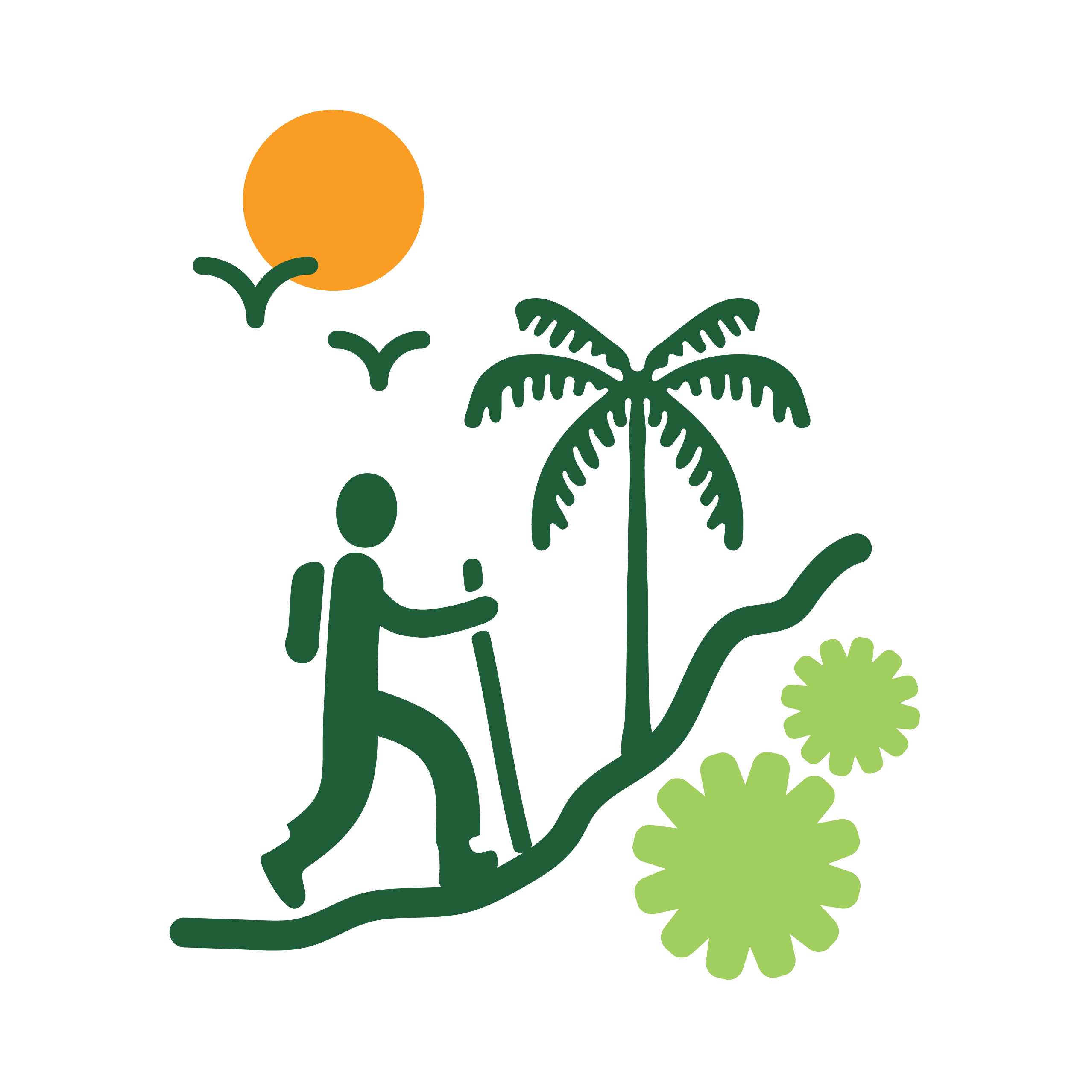 Gondwana Rainforest Challenge 2025