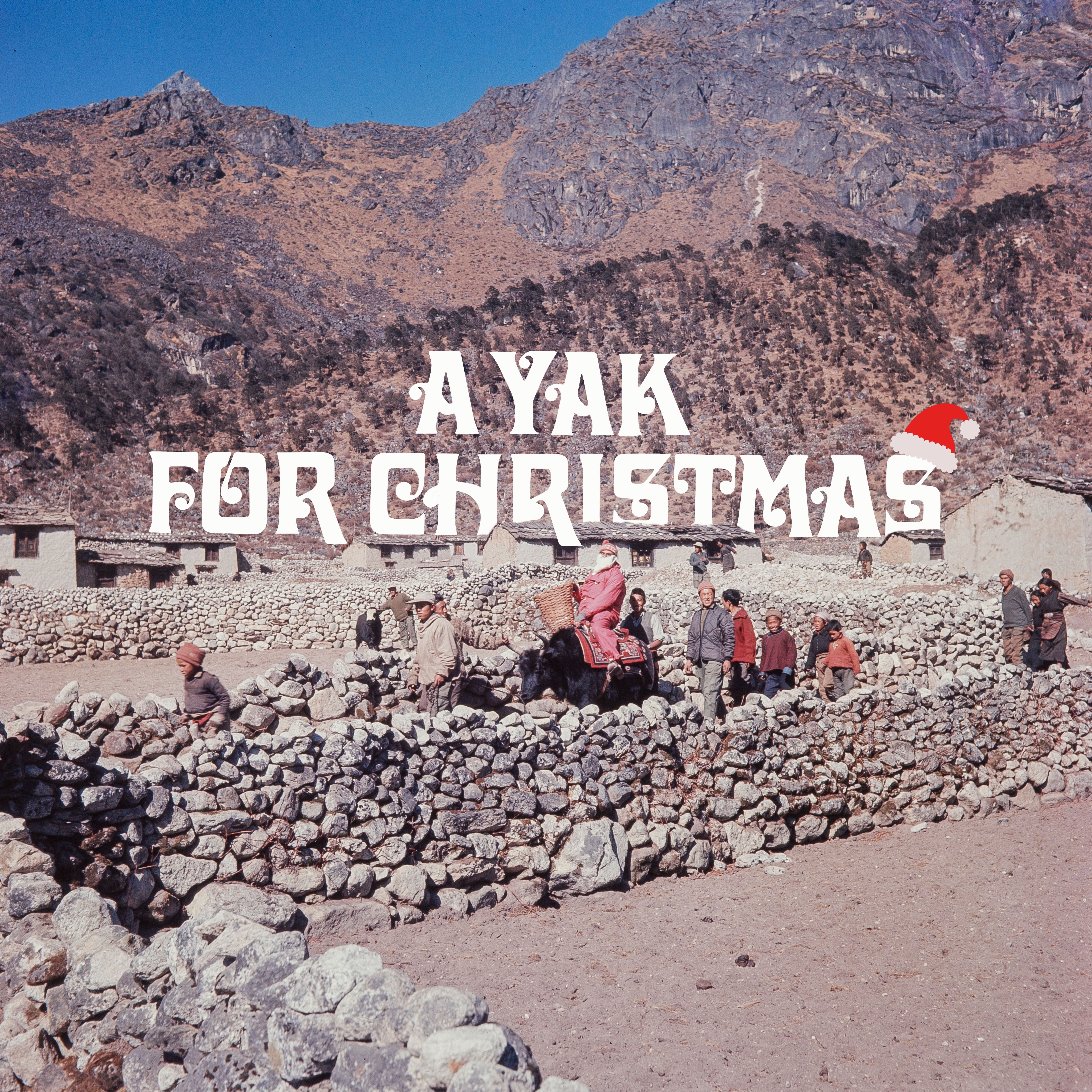 Home - The Himalayan Trust