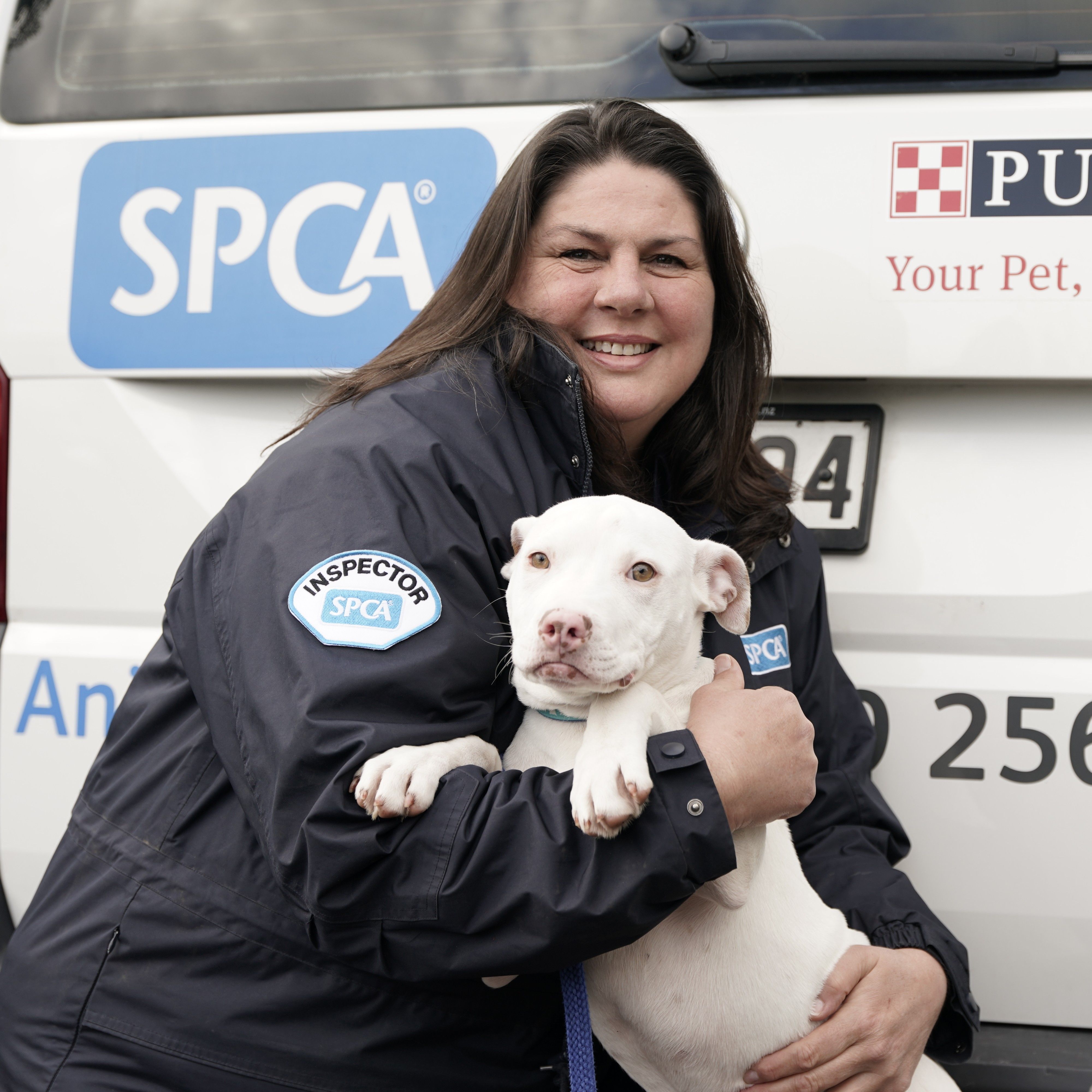 In Memory Giving | SPCA