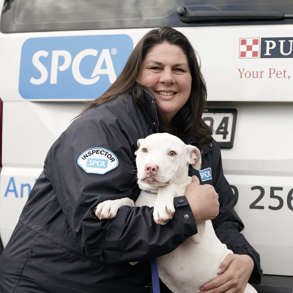 SPCA | Pet Memorial