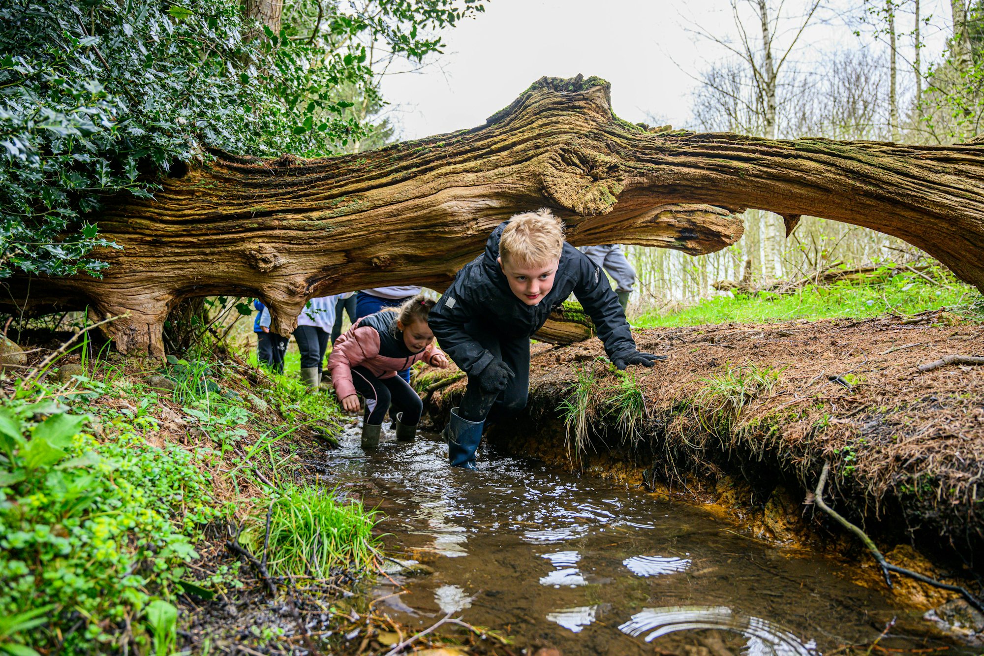 Leeds Children's Charity at Lineham Farm | Donate Online