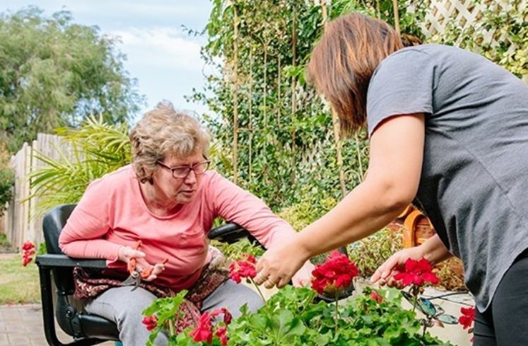 Donate Online Now | MSWA