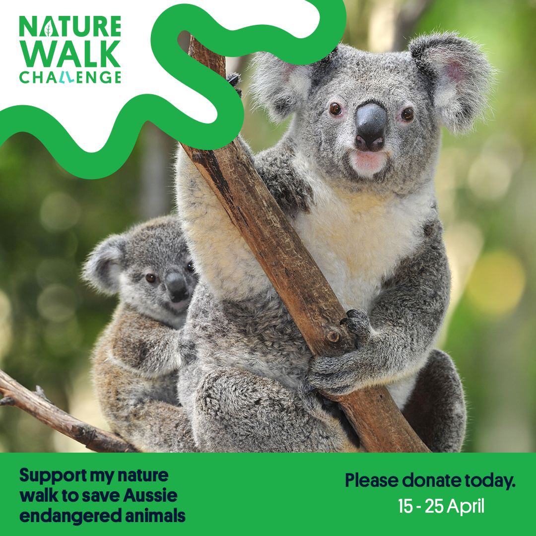 The Challenge - Nature Walk Challenge