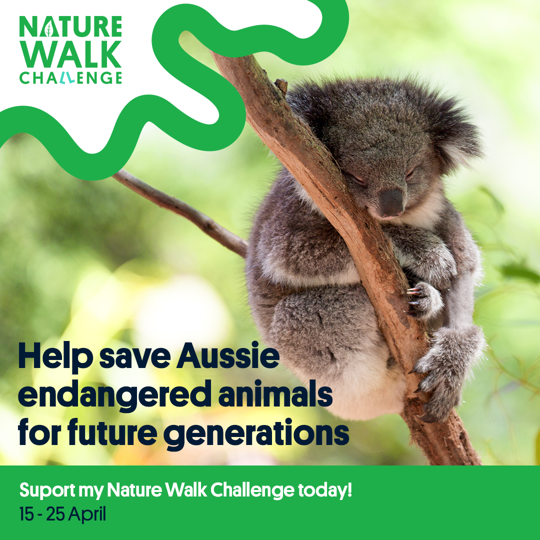 The Challenge - Nature Walk Challenge