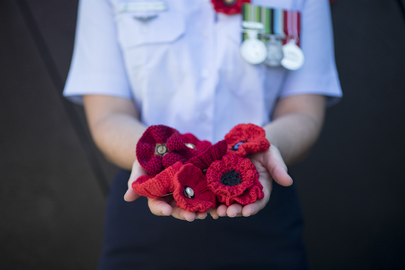 Poppy Appeal