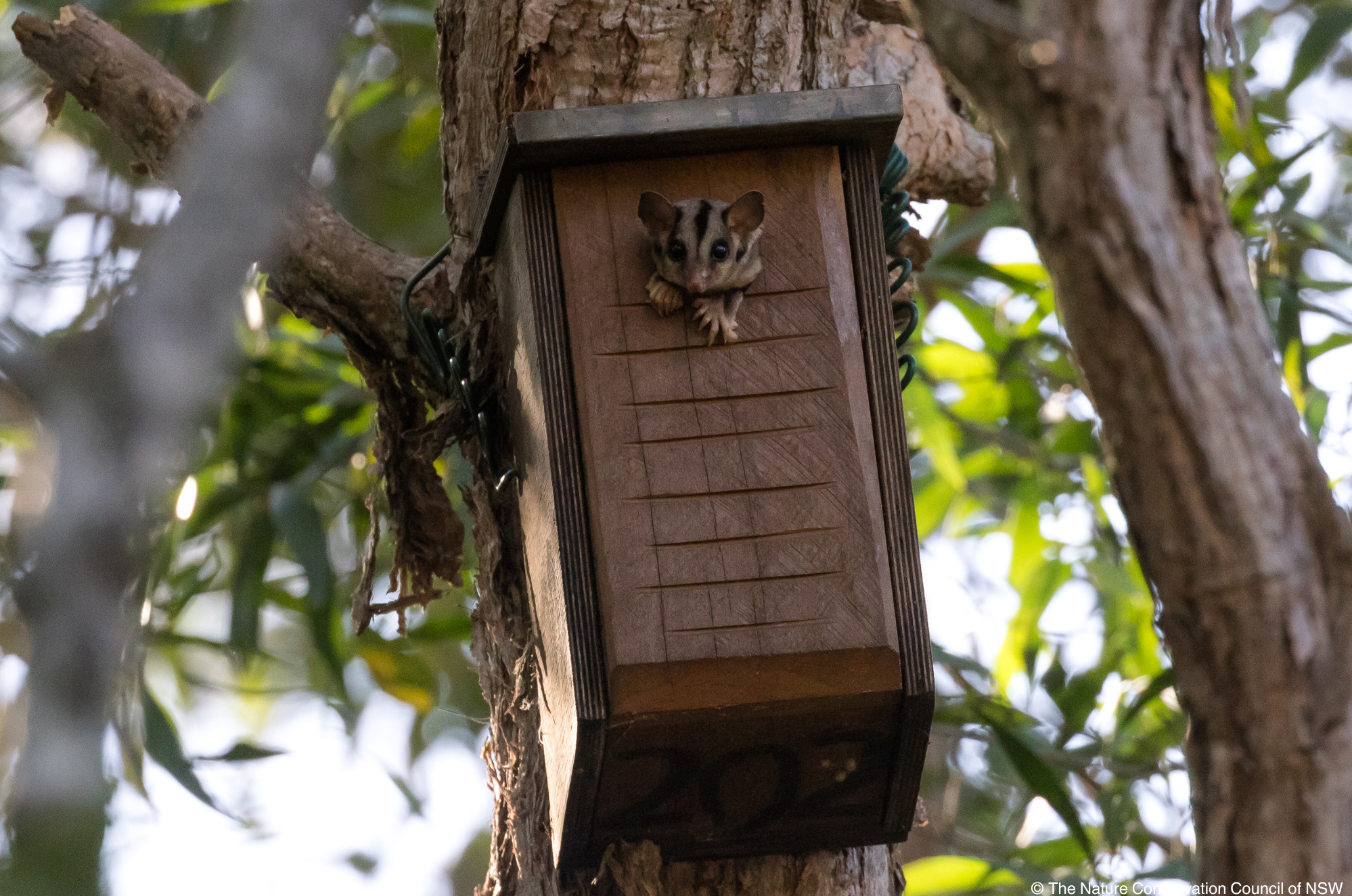 Protect Habitat and Save Our Species