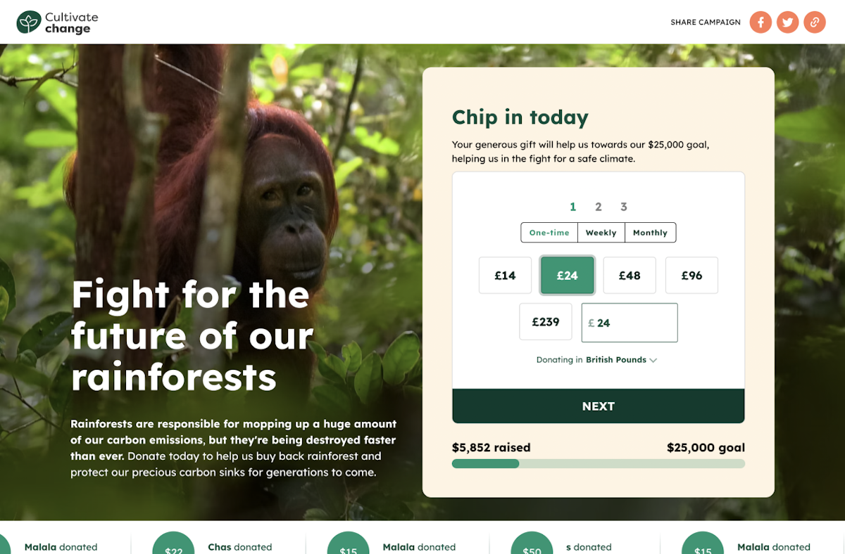 Templates | Raisely: Top Rated Fundraising Platform for Charities and ...