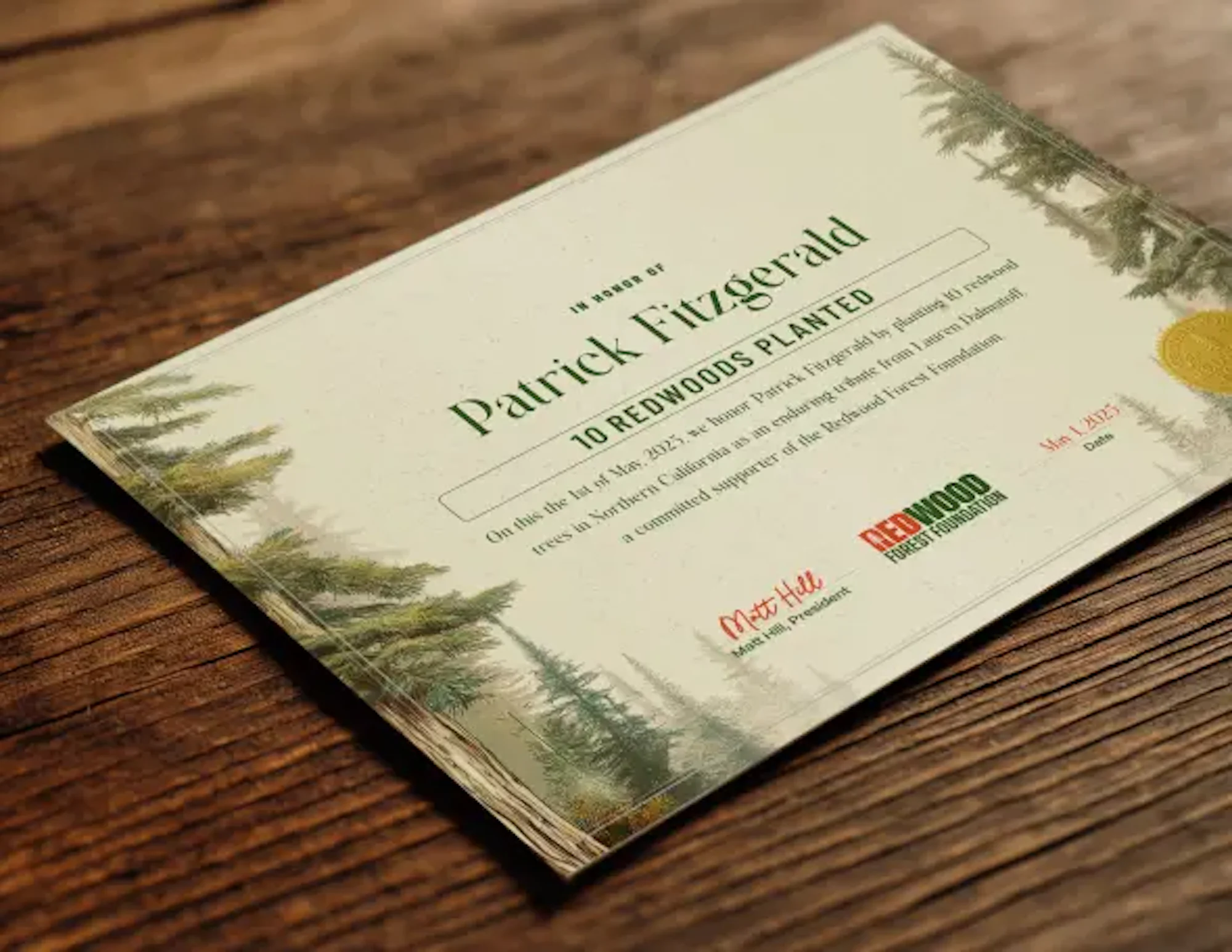 Redwood Forest Foundation | Home Page