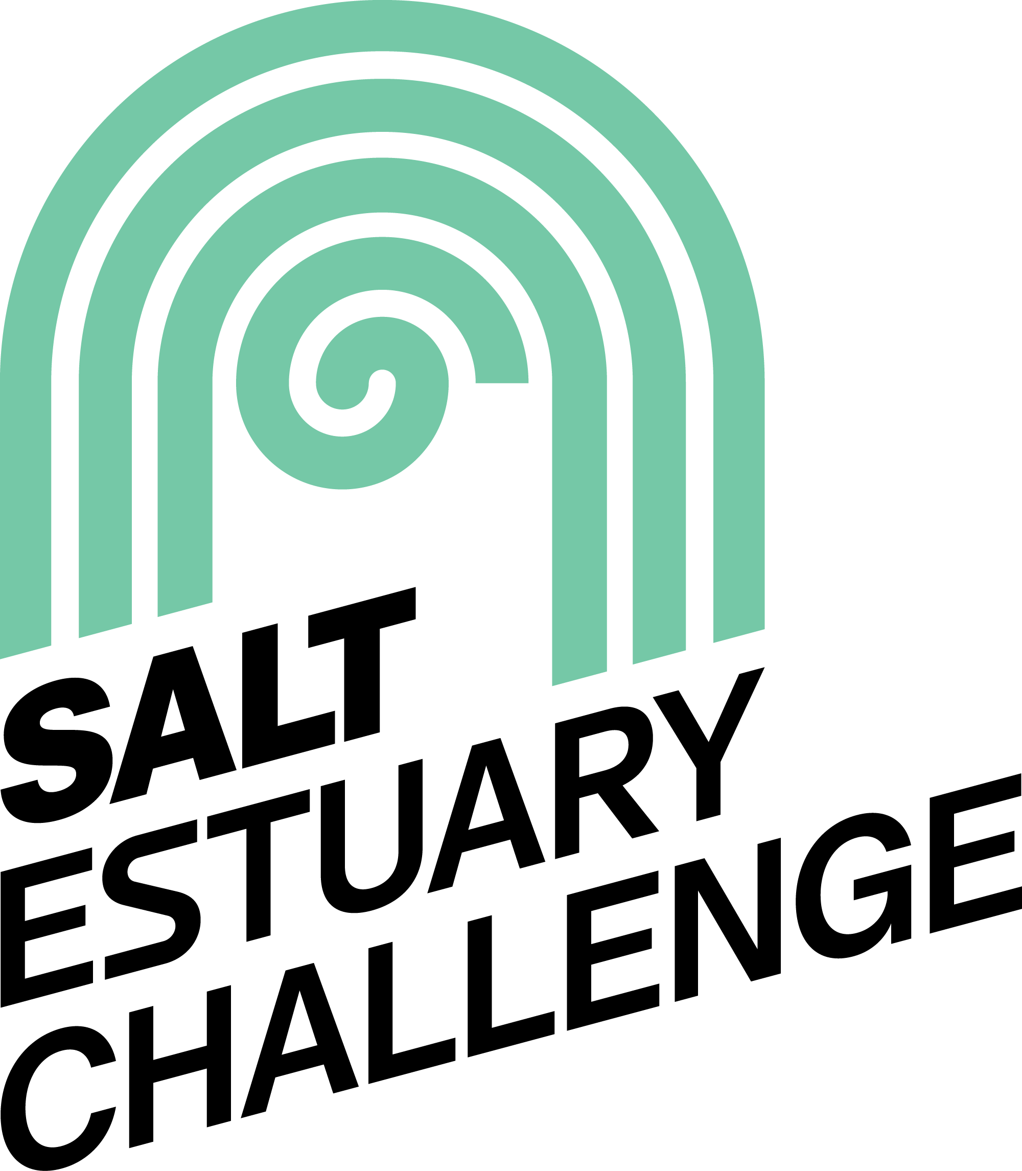 Salt Estuary Challenge