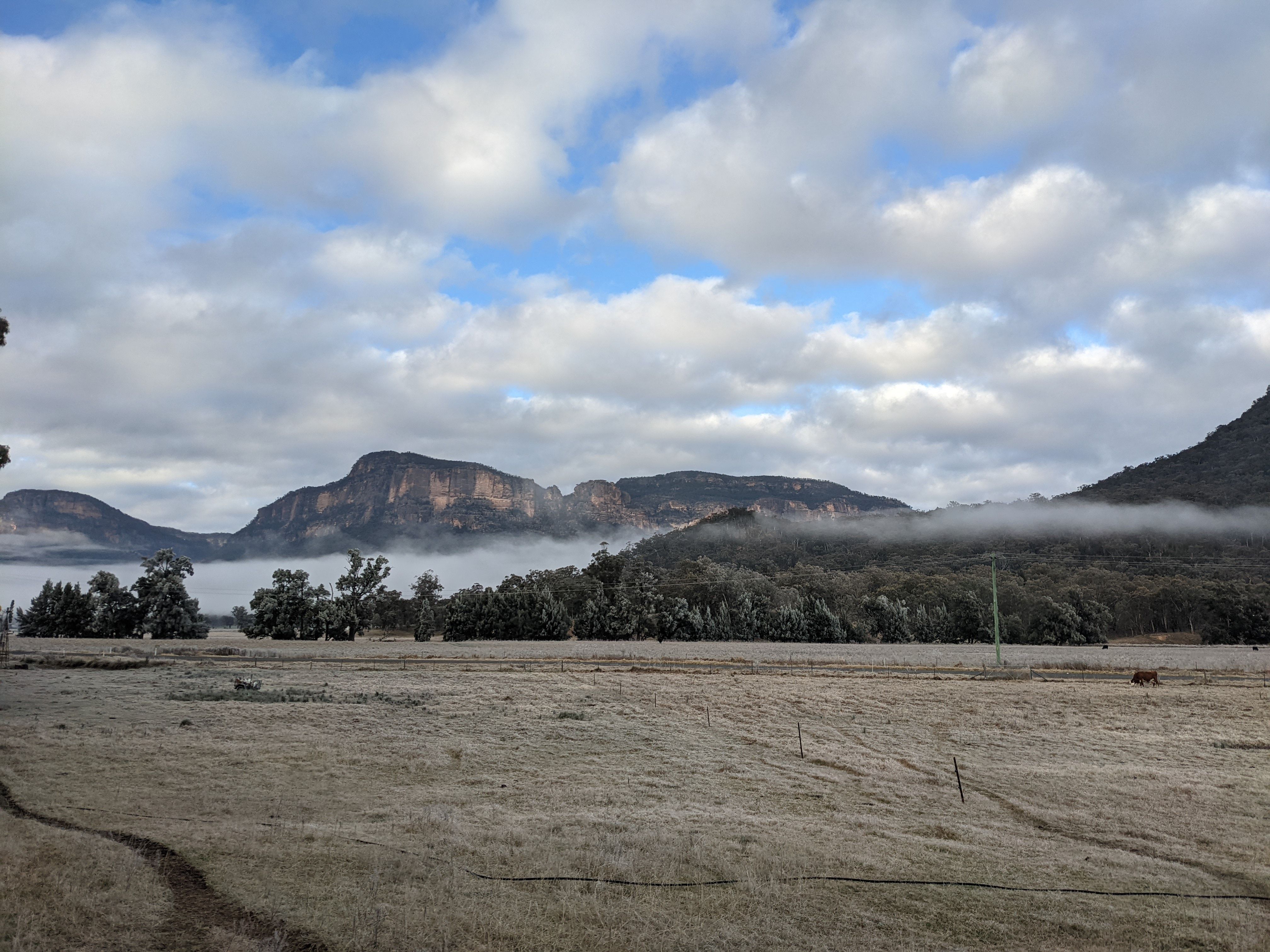 Science for Wildlife