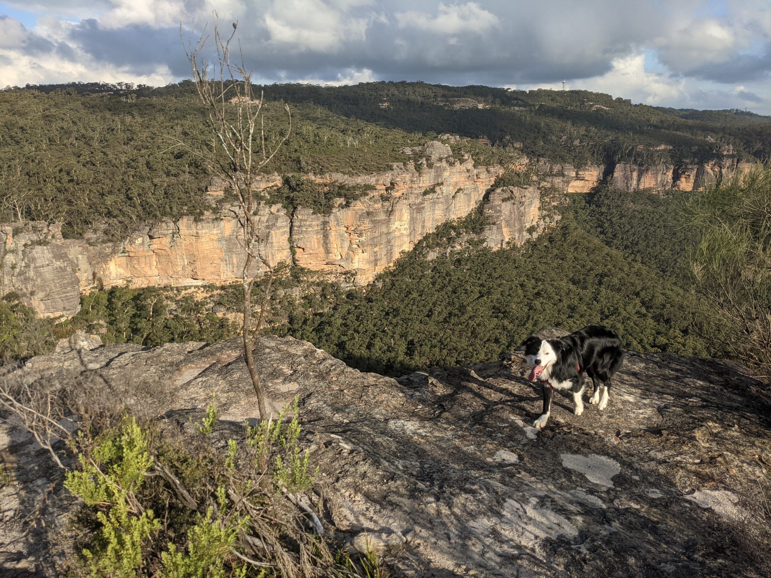 Science for Wildlife