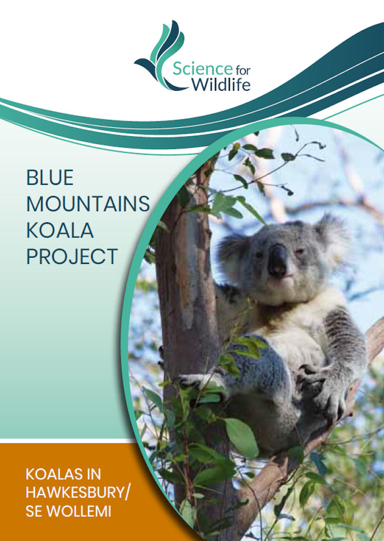 Koala Information Booklets