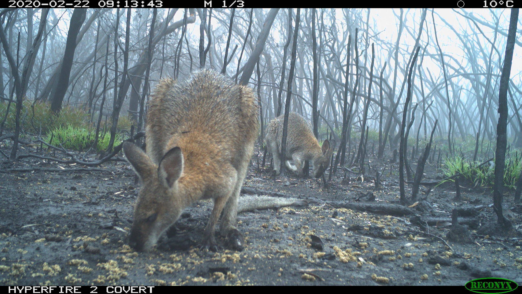 Science for Wildlife