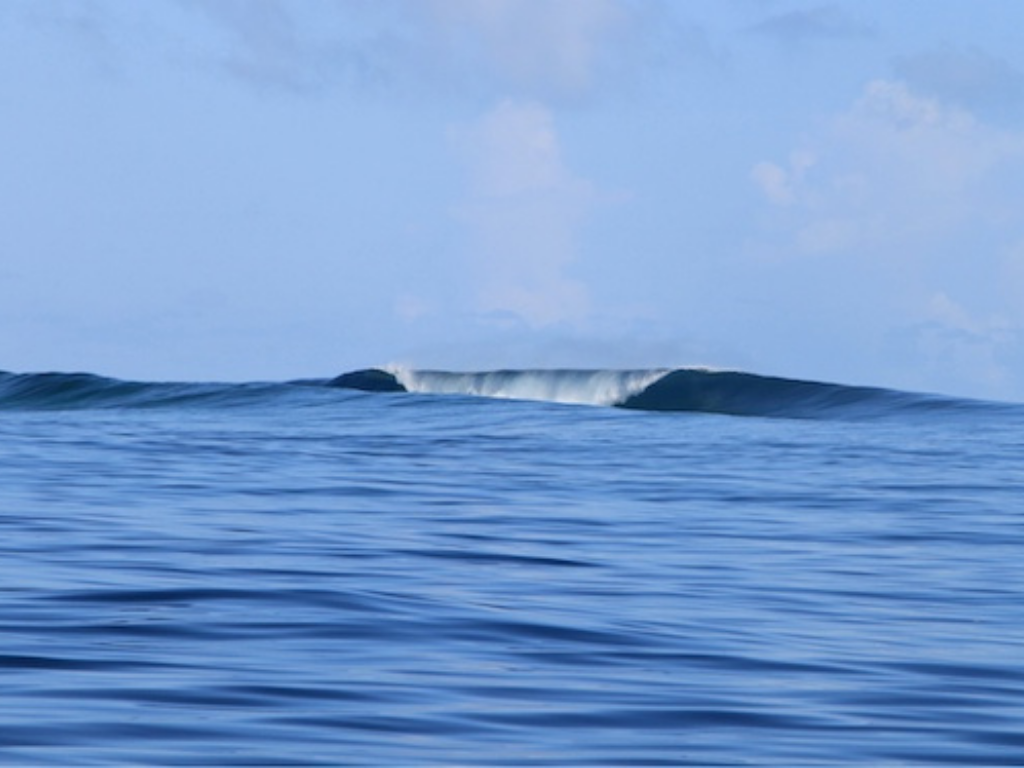 SurfAid