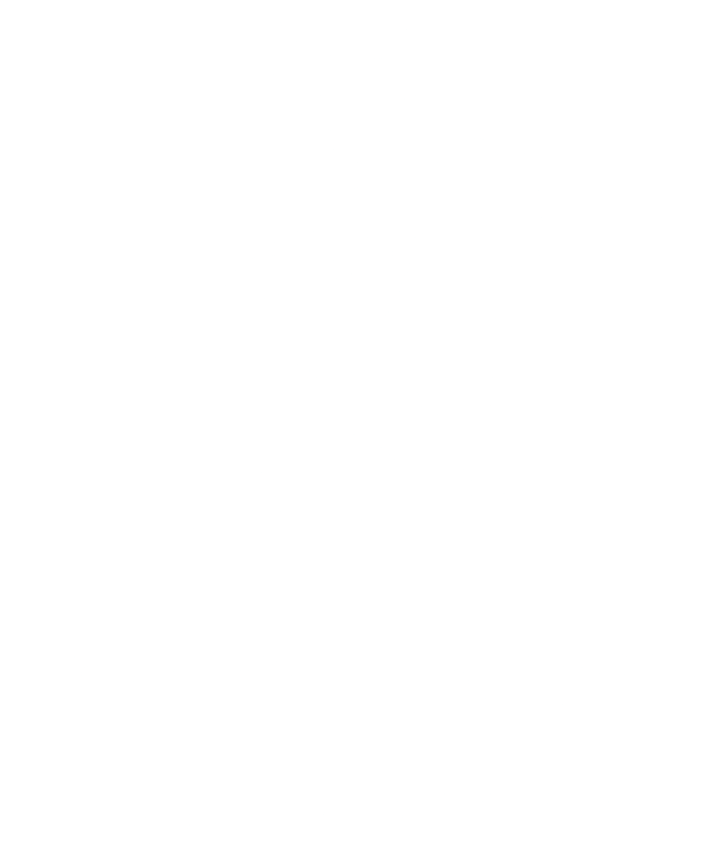 Team Lopez Foundation