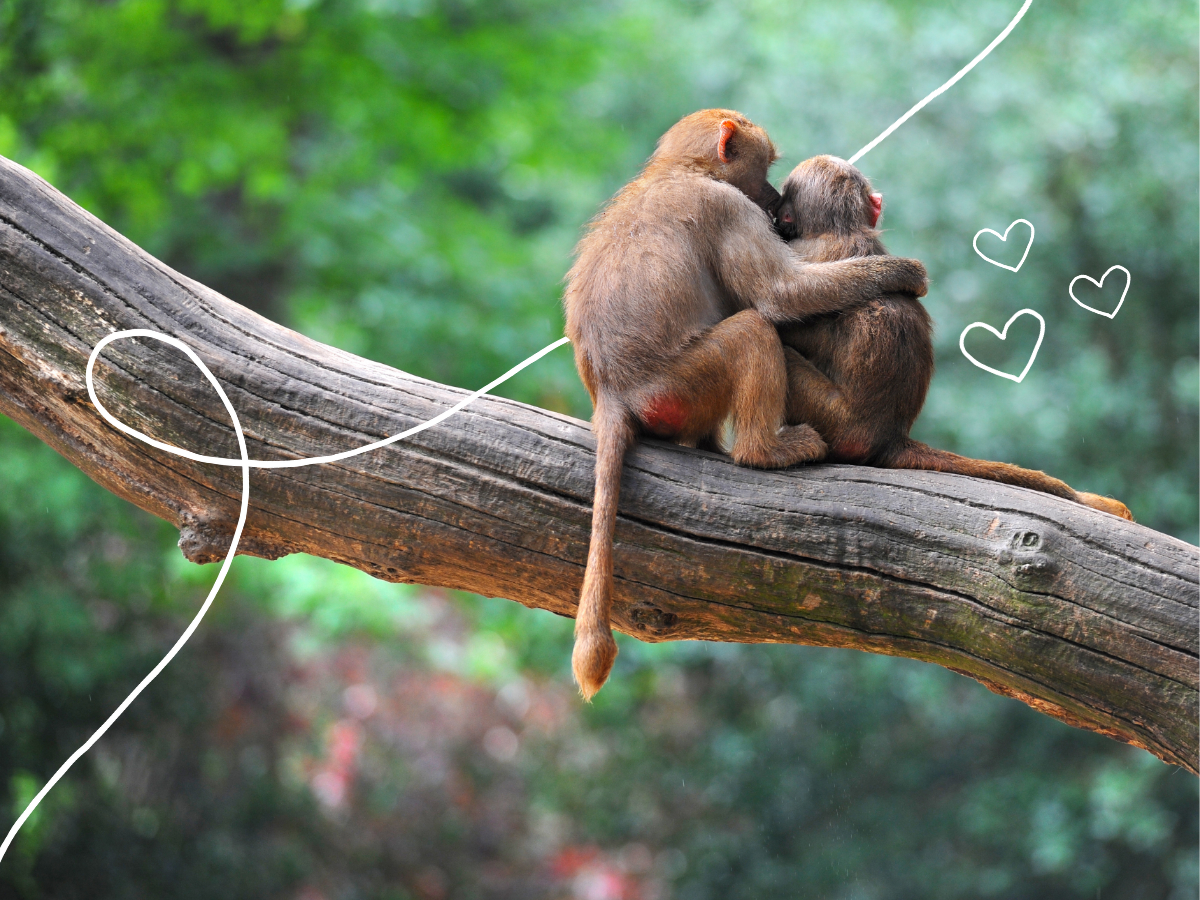 The Explore Foundation