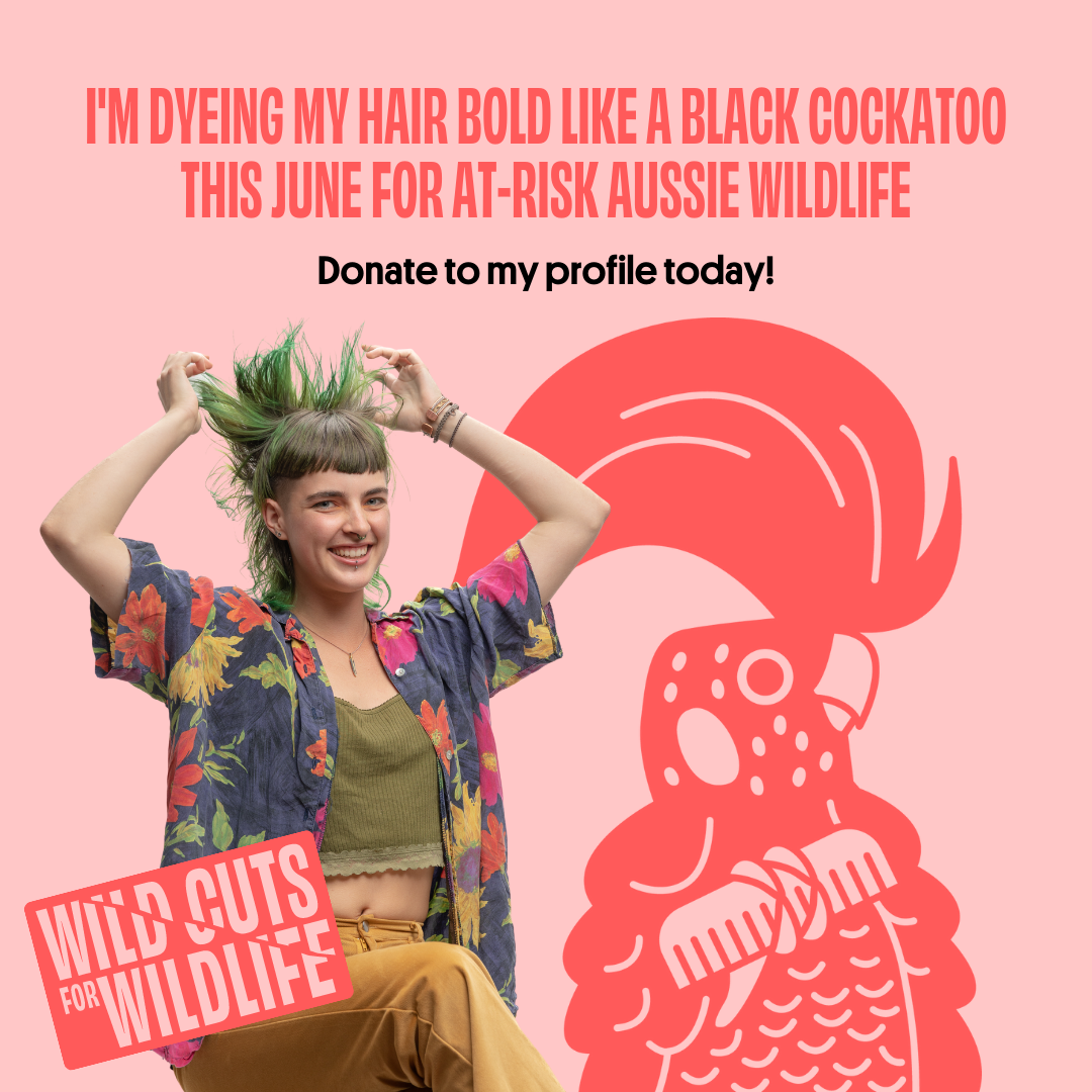 Resources - Wild Cuts for Wildlife 2023