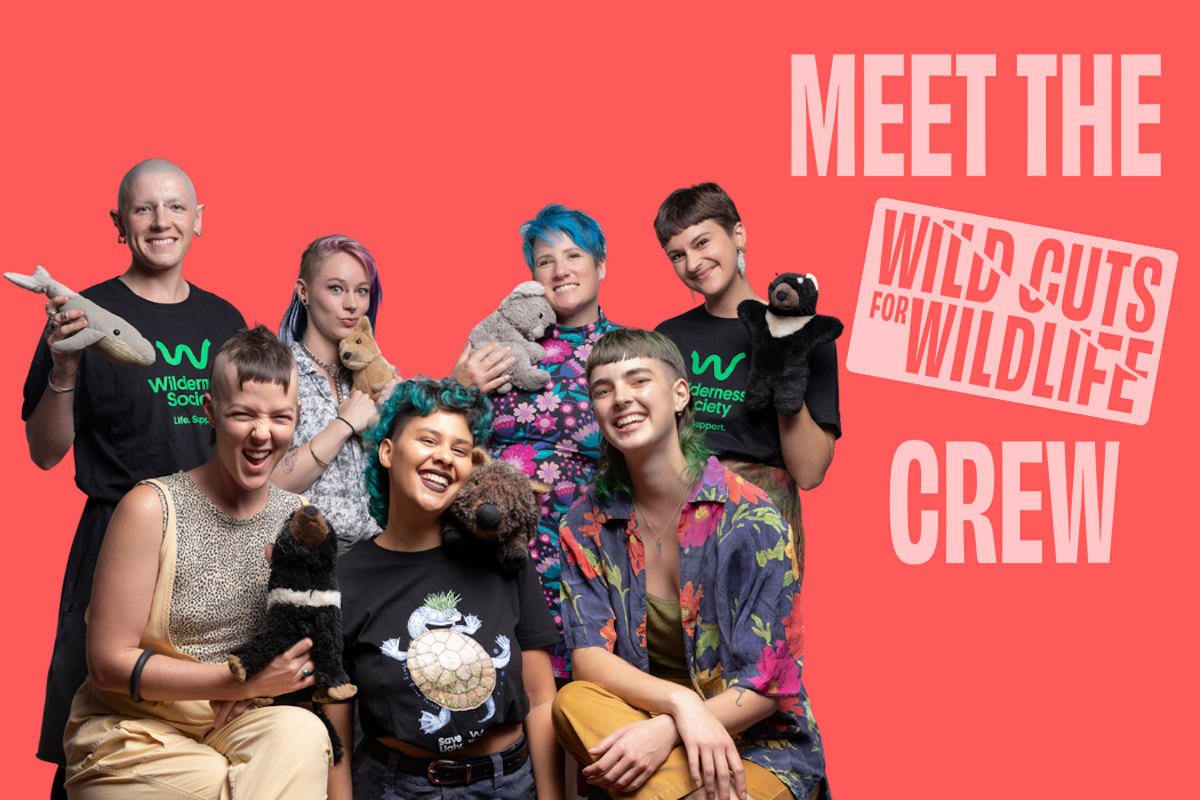 Wild Cuts for Wildlife 2023